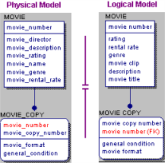 Model Types